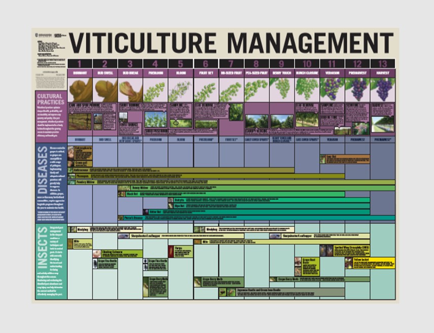 Viticulture Management Poster – available at a conference or workshop ...