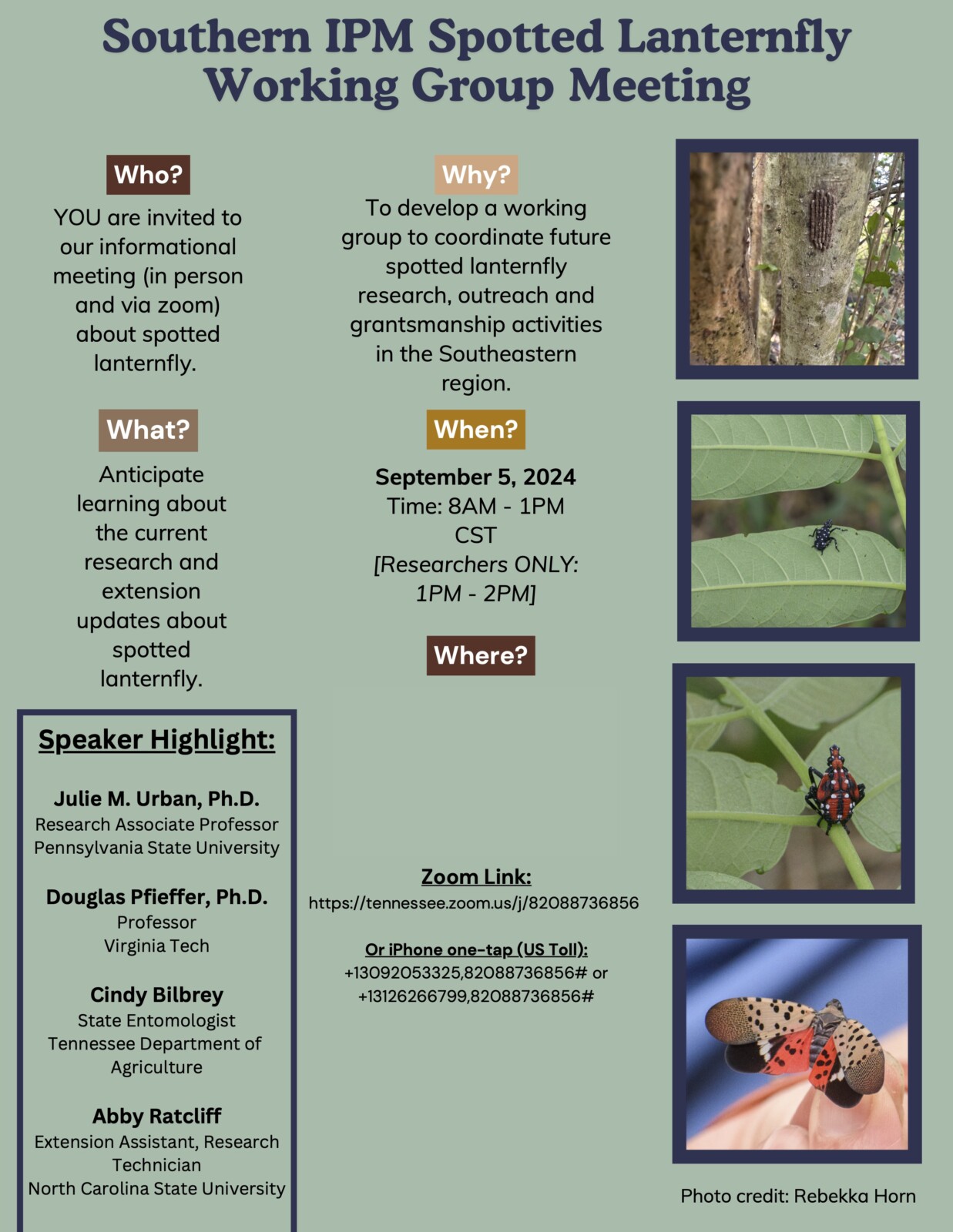 Spotted Lanternfly Working Group Meeting – Sept. 5, 2024 | Viticulture